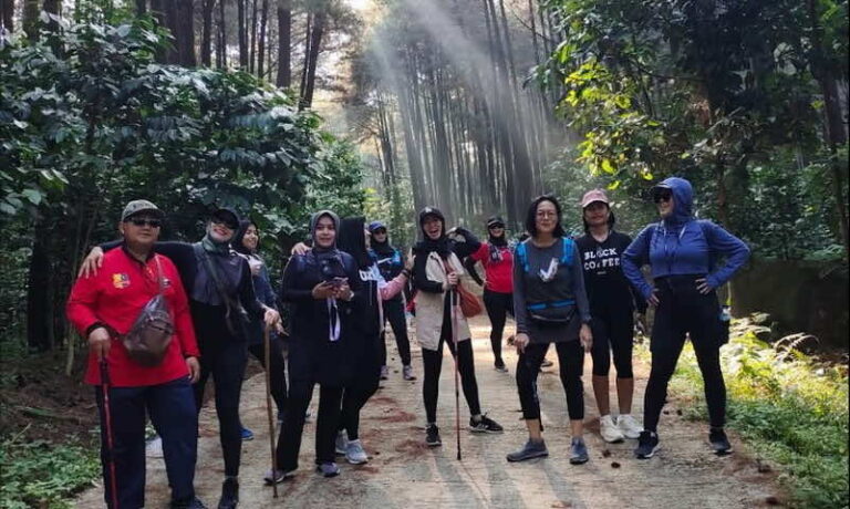 Trekking Gunung Pancar Sentul Bogor